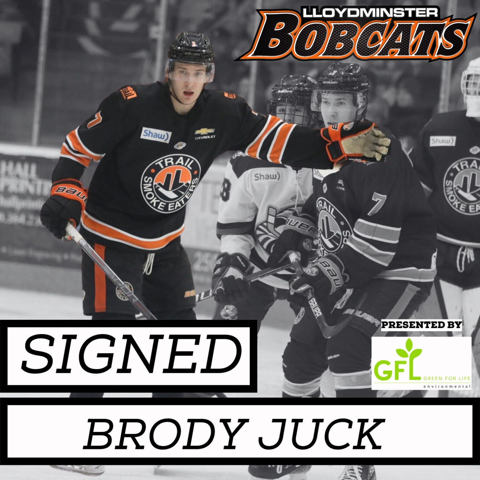 Bobcats Sign Juck | Lloydminster Bobcats